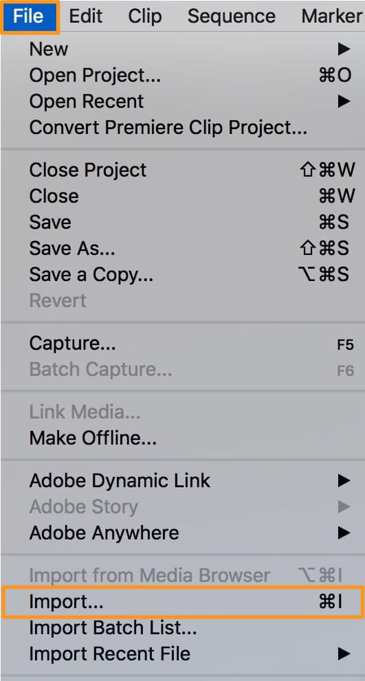 Remove Audio From Video In Premiere Pro Step By Step 