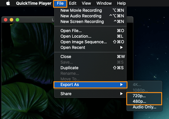 How To Extract Audio From Video Using Quicktime Powendk