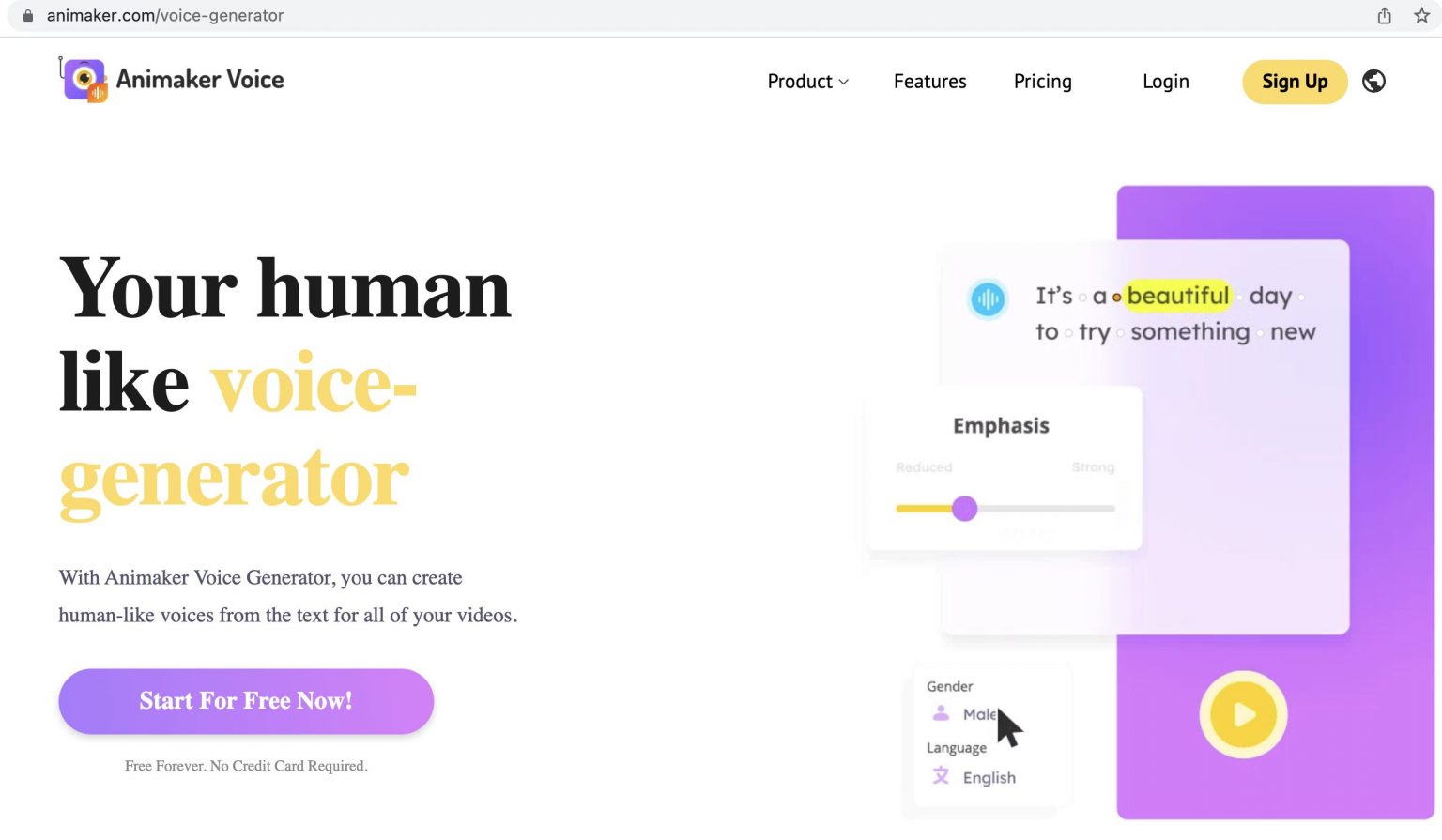 The 5 best voice over softwares available online (In 2023) - Animaker