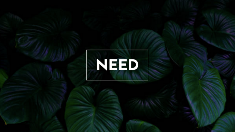 Ad Maker: For video ads that convert! (50+ Free Templates)