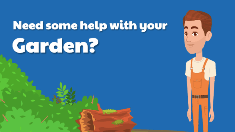 Free Customisable Cartoon/2D Ads Templates | Animaker